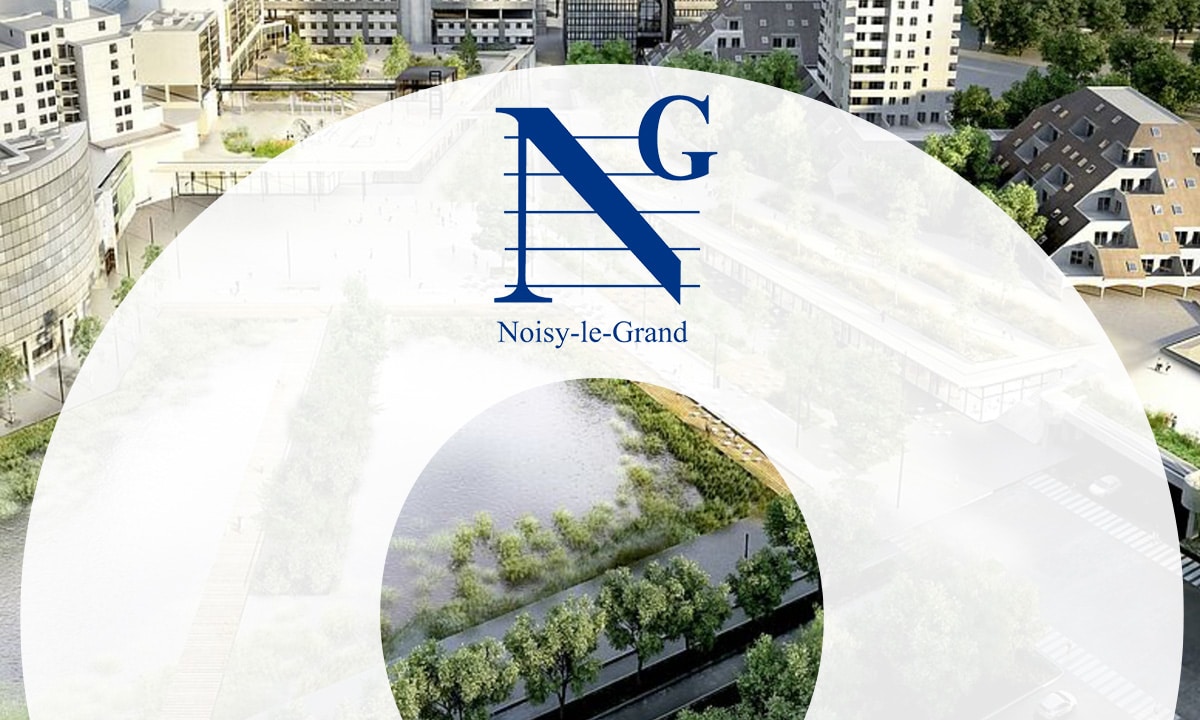Noisy-le-grand, un diagnostic Numérique responsable - loi REEN