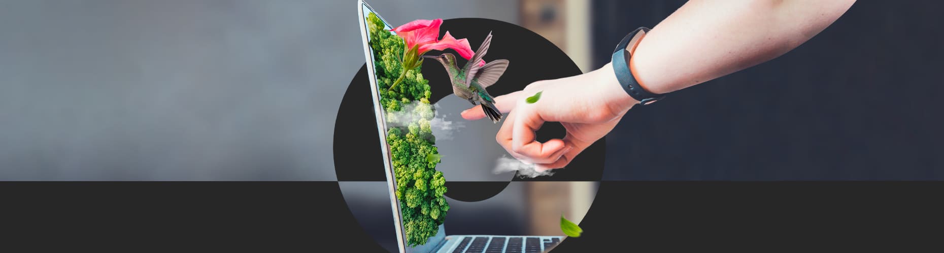 Publications - Onepoint